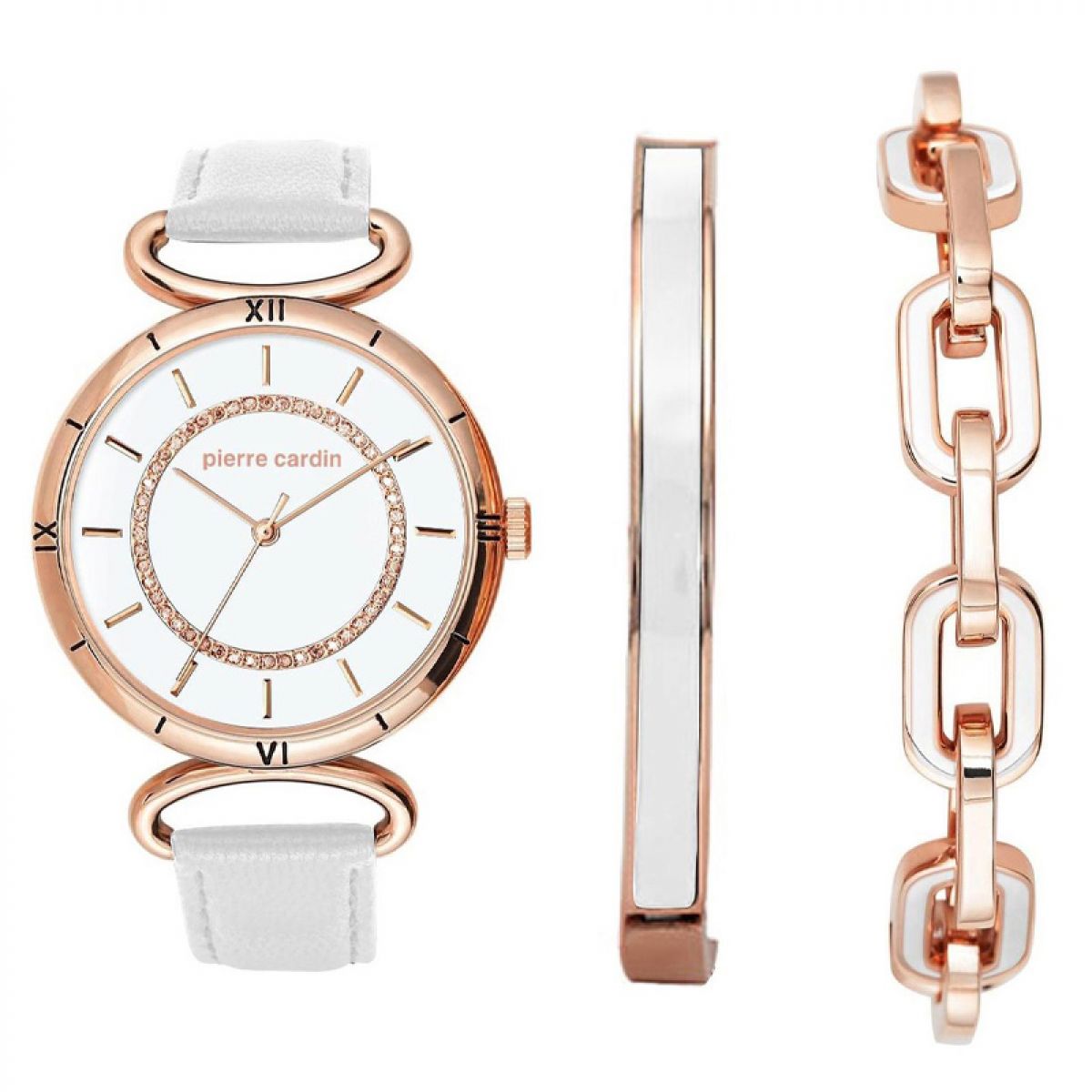 Pierre Cardin Watch PCX5758L250 Geschenk Set – Watch2Day